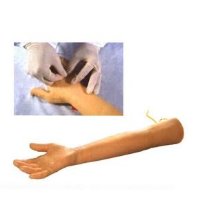 Advanced elderly venipuncture training arm model-Clinical Medicine ...