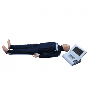 New Style CPR training model with Intubation-Emergency Models-Henan ...