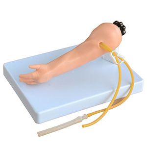 Advanced infant venipuncture arm-Pediatrics & GYN Models-Henan BOME ...