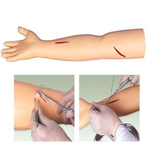 Senior Surgical Arm Suture Training Model-Clinical Medicine Models ...