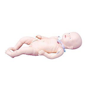 Tracheostomy Care Infant Model-Pediatrics & GYN Models-Henan BOMN ...