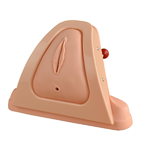 Perineum Cutting and Suturing Training Simulator-Pediatrics & GYN ...
