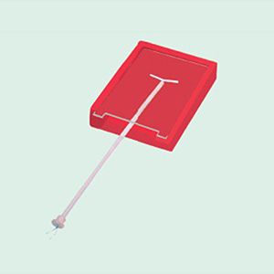 IUD Medical Training Model-Pediatrics & GYN Models-Henan BOME supply ...